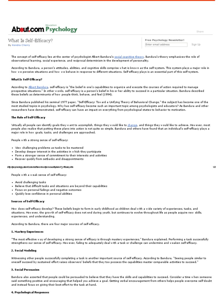 Understanding Self-Efficacy Concepts | PDF | Self Efficacy | Psychology