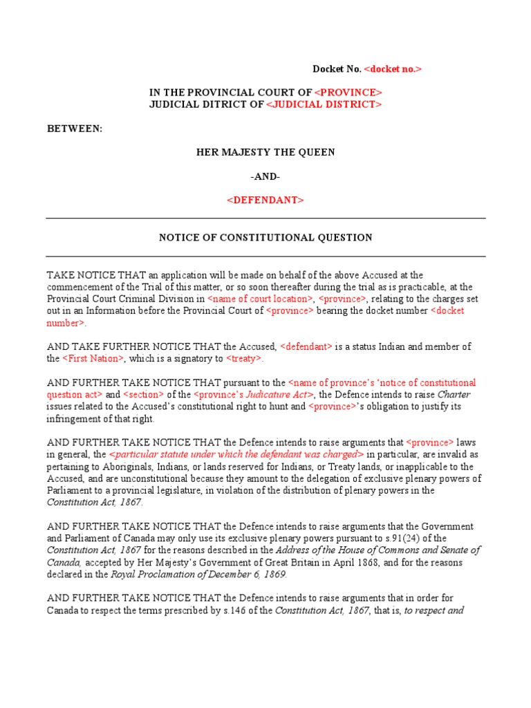 Notice of Constitutional Question 2009-08-15 Generic | PDF ...