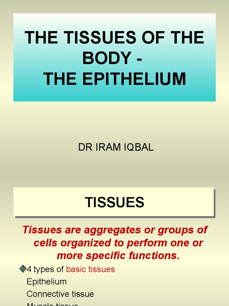 The Tissues of The Body - The Epithelium: DR Iram Iqbal | PDF ...