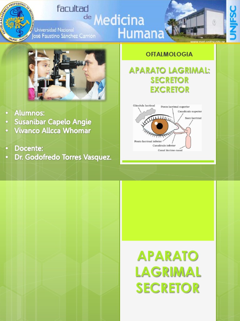 Aparato Lagrimal Secretor y Excretor. Oftalmo | PDF | Anatomía humana | Órganos sensoriales
