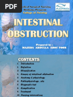 Anemia Brochure | PDF | Anemia | Blood