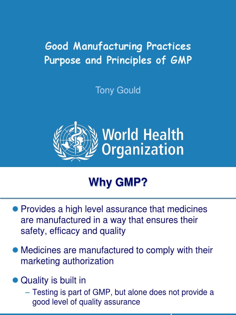 1 3 GMP Purpose Principles Guidelines | PDF | Quality Assurance ...