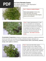 SNC Codigo de Contas PDF | PDF | Imposto sobre Valor Agregado (IVA ...