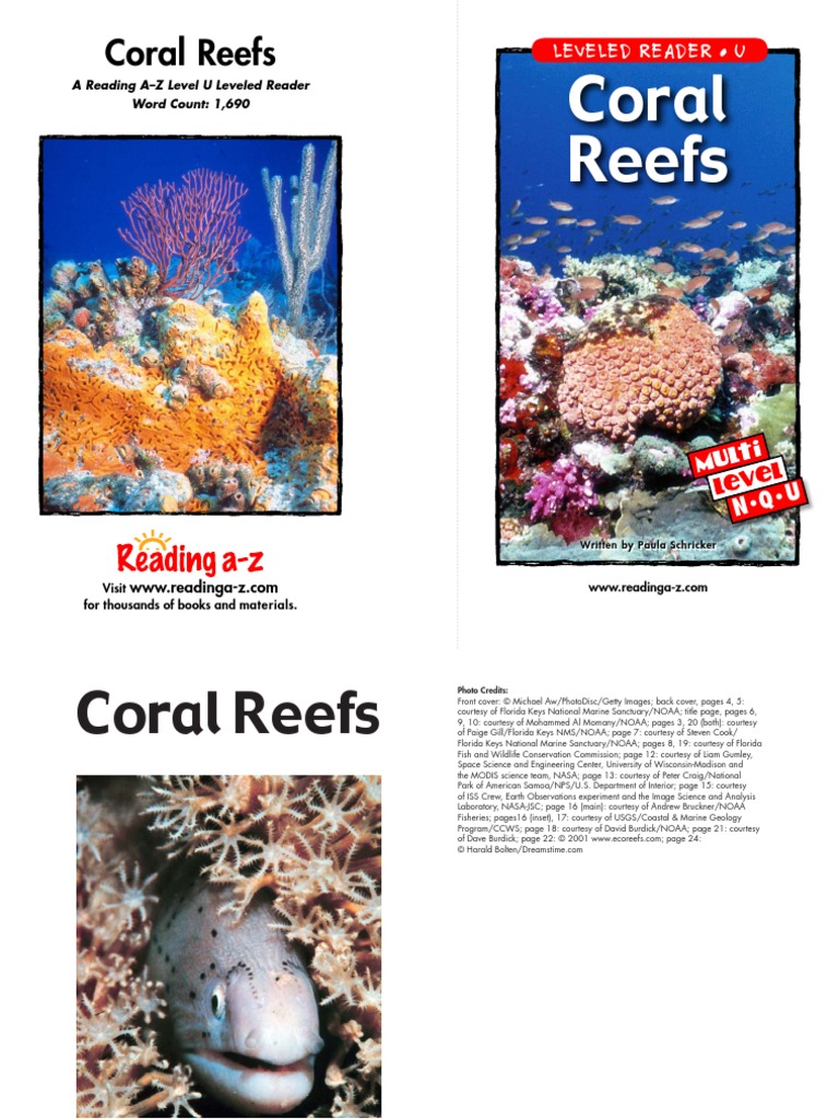 Coral Reefs | PDF | Coral Reef | Coral