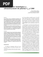 Plantas c3 y c4 PDF | PDF | Plantas | Metabolismo