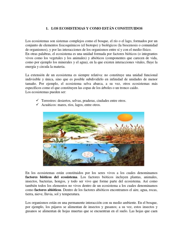 Los Ecosistemas | PDF | Ecosistema | Biología