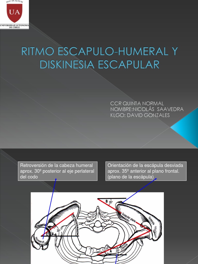 Ritmo Escapulo | PDF | Anatomía de los primates | Ciencia de la danza