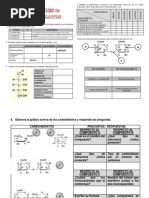 Actividades Resp Celular | PDF
