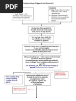 Pathophysiology of Appendicitis | PDF | Inflammation | Medical Specialties