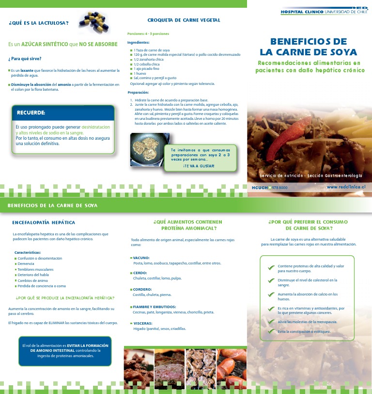 Triptico Soya | PDF | Carne molida | Carne