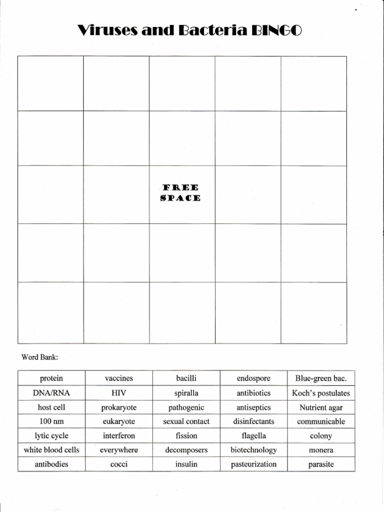 Viruses and Bacteria Bingo | PDF | Bacteria | Pathogen