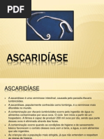 Ciclo Monoxeno e Heteroxeno e Medidas Profiláticas - Parasitologia | PDF