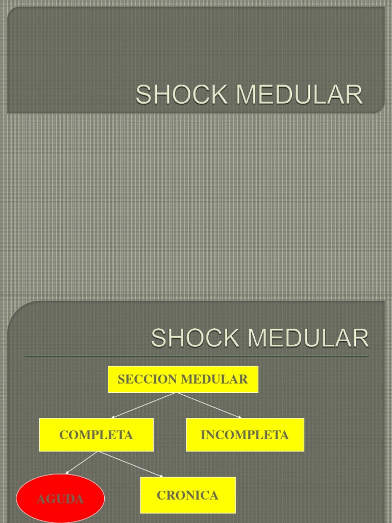 Shock Medular | PDF | Médula espinal | Lesión de la médula espinal