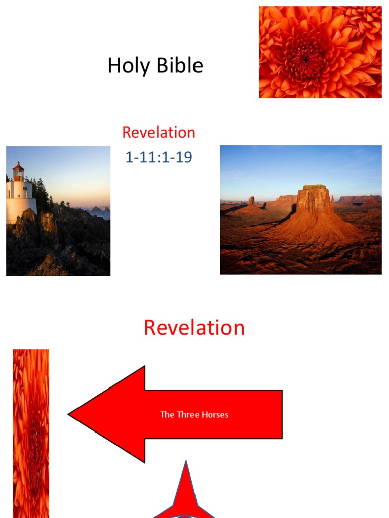 Holy Bible | PDF