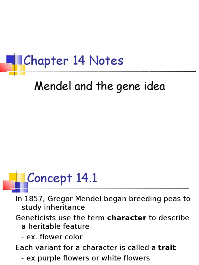 Chapter 14 Notes: Mendel and The Gene Idea | PDF | Dominance (Genetics ...