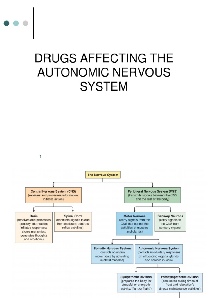 Drugs of Autonomic Nervous System | PDF | Acetylcholine | Epinephrine