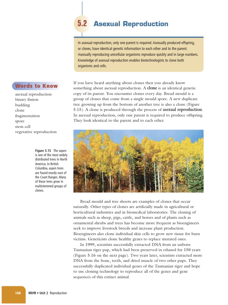 Asexual Reproduction | PDF | Cloning | Grafting