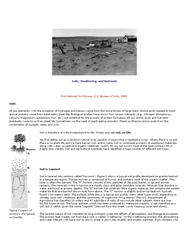 Soils, Weathering, and Nutrients | PDF
