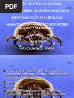 Ácaros del polvo: Dermatophagoides y Euroglyphus | PDF | Alergia