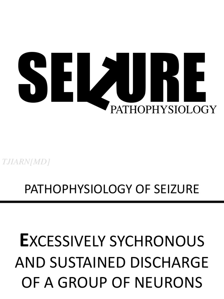Seizure Pathophysiology Overview | PDF | Epilepsy | Inhibitory ...