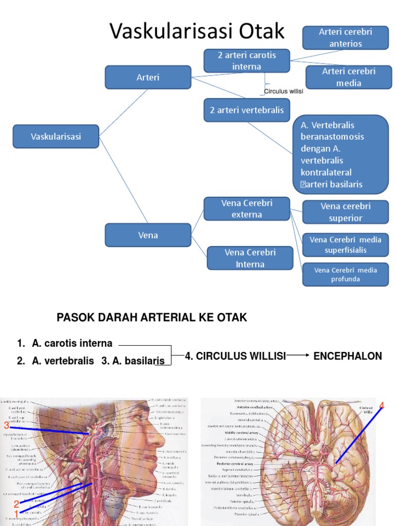 Vaskularisasi Otak | PDF