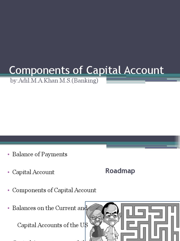 Components of the Capital Account | PDF | Capital Account | Deposit Account