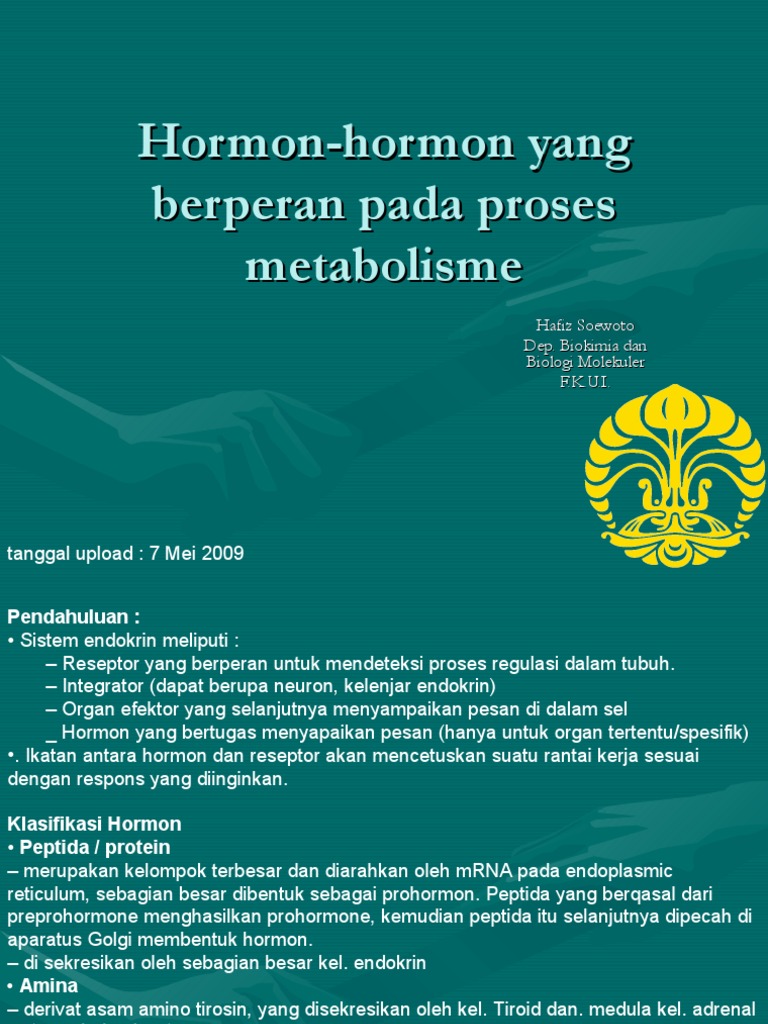 Hormon Hormon Untuk Metabolisme | PDF