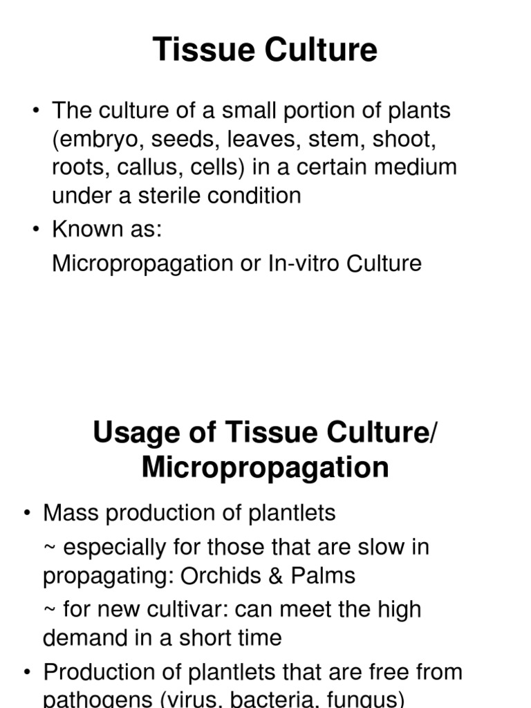 Chapter10 Tissue Culture Edit | PDF | Botany | Reproduction