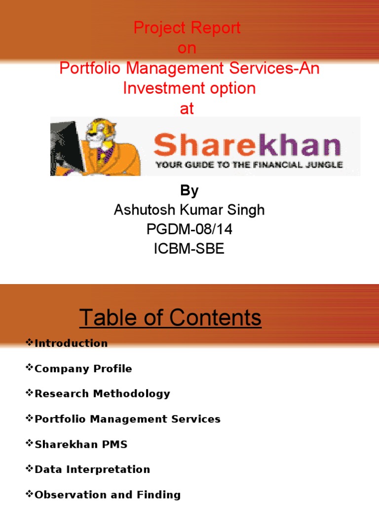 Project Report. Final | PDF | Investment Management | Investor