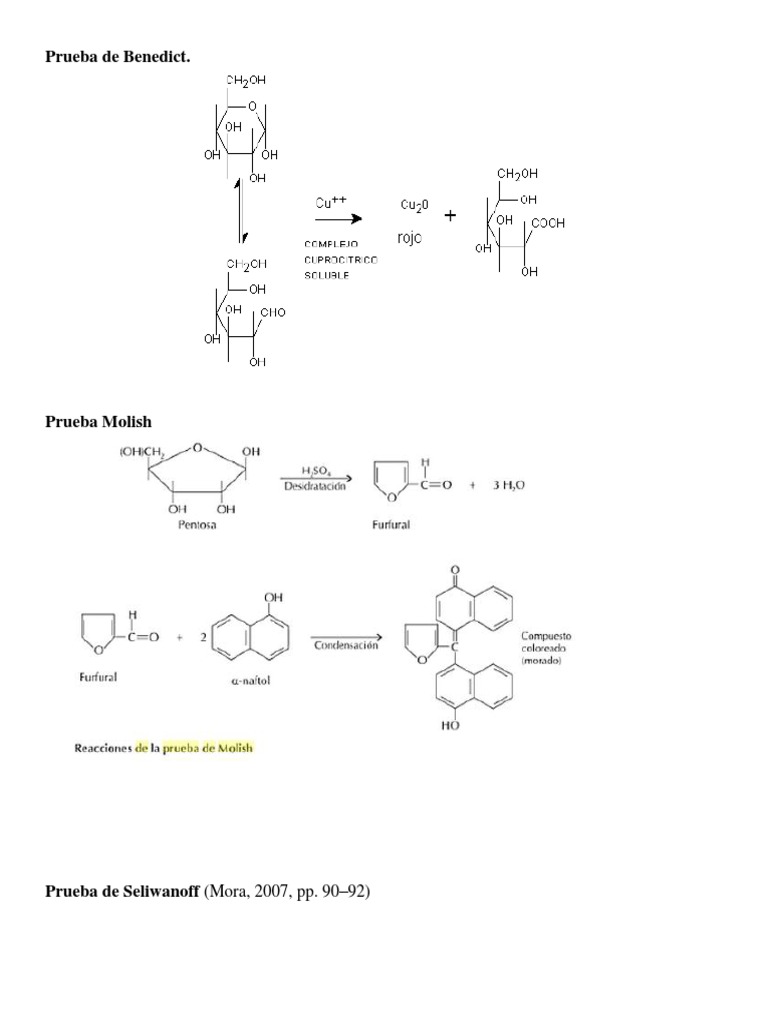 Prueba de Benedict | PDF
