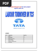 Organizational Structure of TCS | PDF | Organizational Structure ...