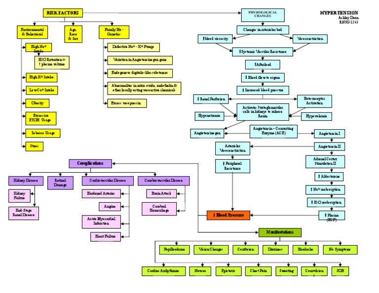 Hypertension Concept Map Pdf Angiotensin Hypertension