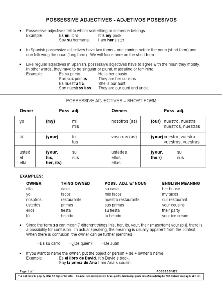 Possessive Adjectives - Adjetivos Posesivos: My Book | PDF