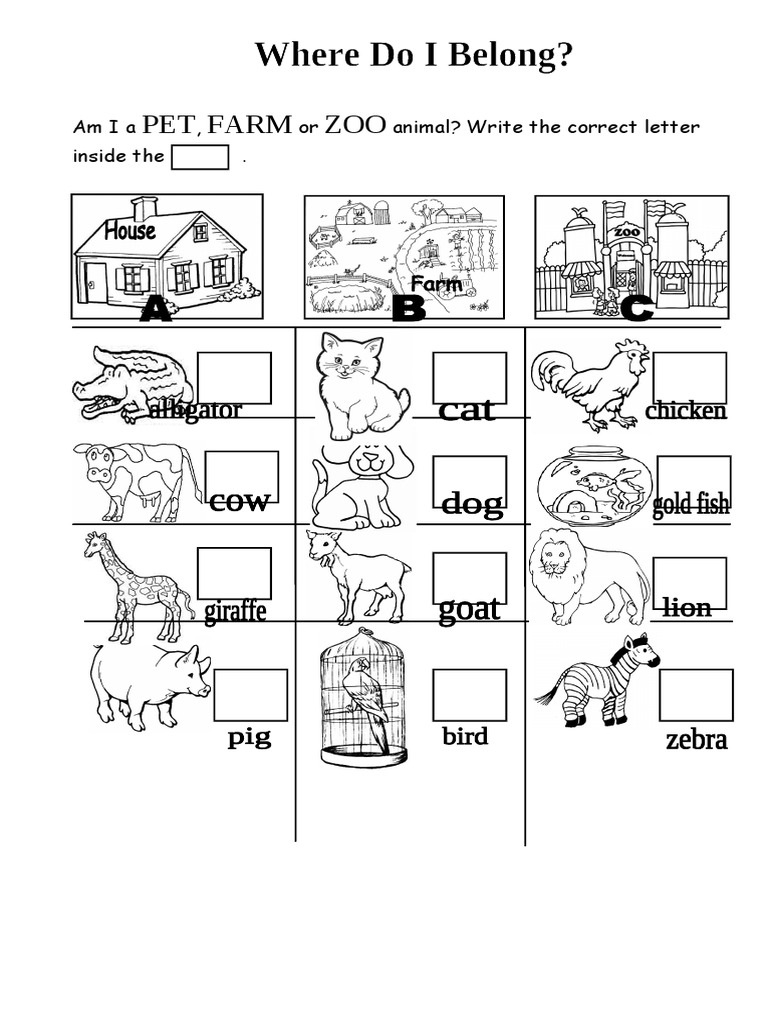 Identify Your Animal Type: PET, FARM, ZOO | PDF