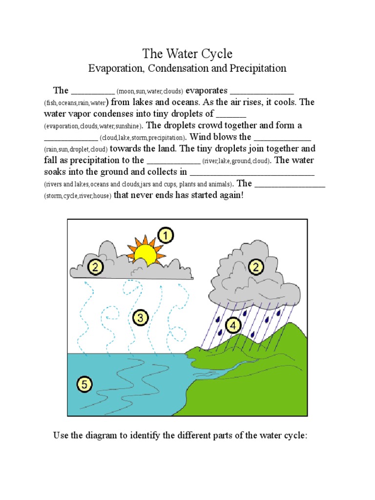 Water Cycle Lesson 3 Summative Assessment | PDF | Travel | Science ...