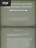 Bio Lab Report 2 | PDF | Biomolecules | Carbohydrates