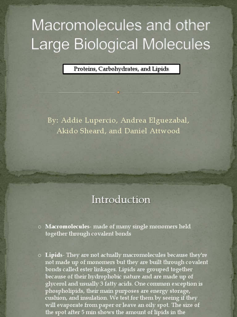 Testing Macromolecules: Proteins, Carbs, Lipids | PDF | Carbohydrates ...