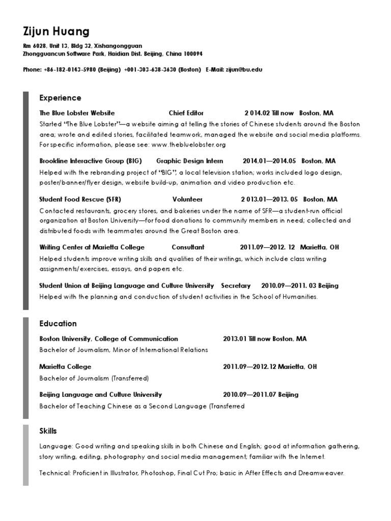 Zijun Huang's Professional Profile | PDF | Art