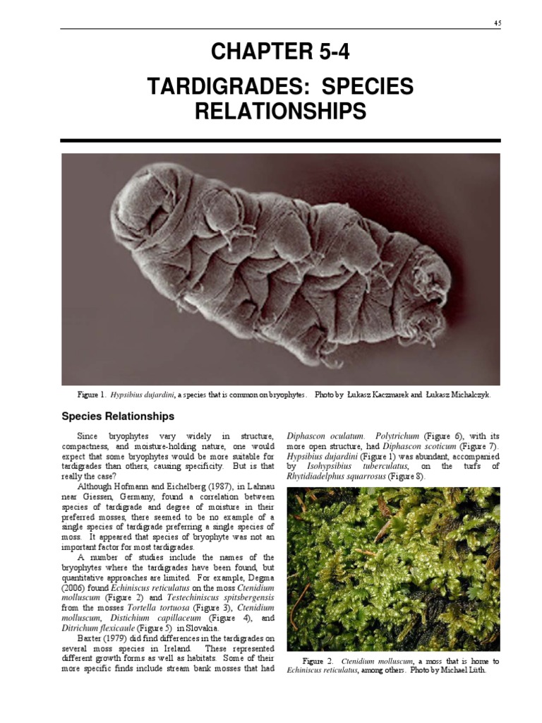 Tardigrades Species Relationships | Moss | Habitat