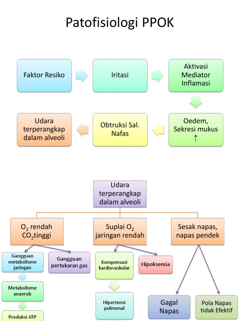 PATOFISIOLOGI PPOK