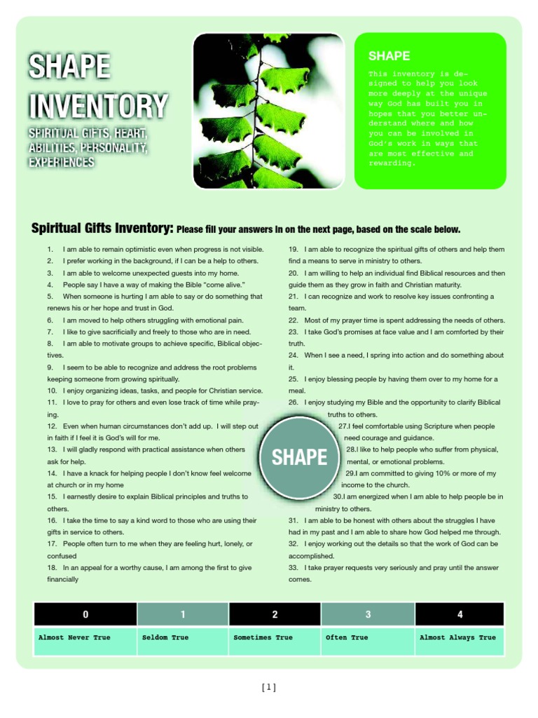 SHAPE Inventory | PDF | Spiritual Gift | Prayer