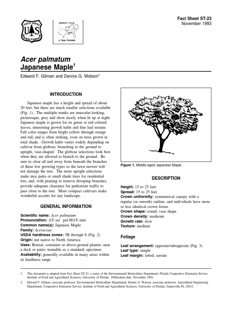 Acer Palmatum Japanese Maple: Fact Sheet ST-23 | PDF | Maple | Trees
