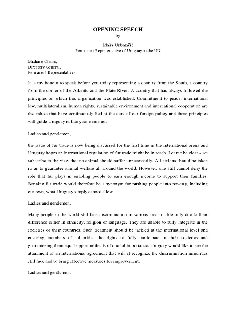 Opening Speech Uruguay Urbancic | PDF | Uruguay | Minority Group