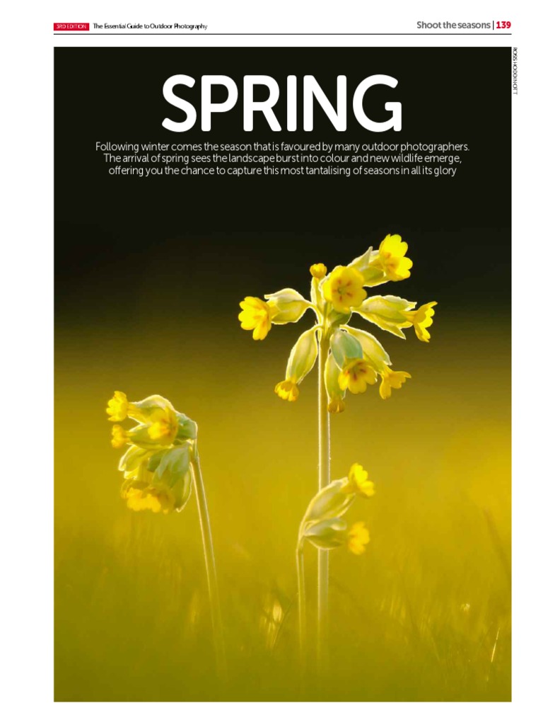 Spring Photography Tips and Techniques | PDF | Camera Lens | Macro ...