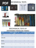 Enterobacteriaceae Chart | PDF