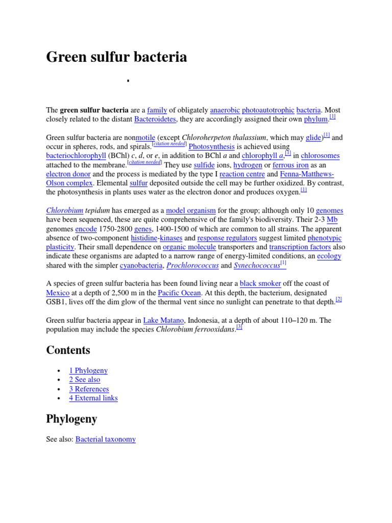 Green Sulfur Bacteria Insights | PDF | Home & Garden | Science ...
