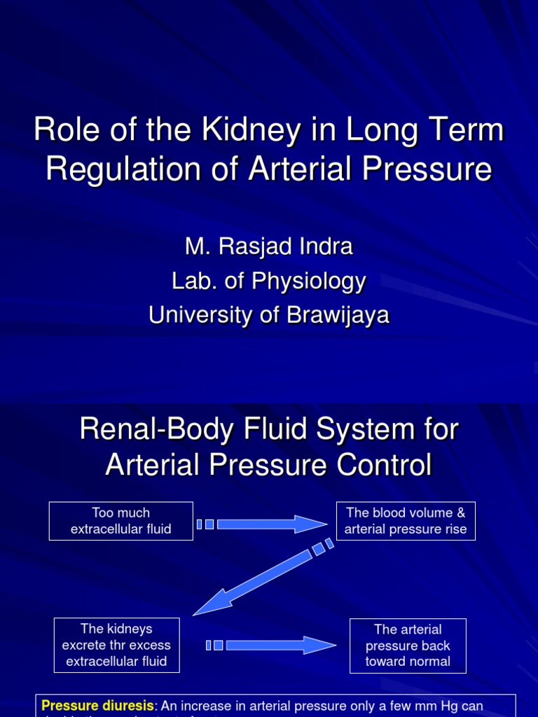 Role of The Kidney in Long Term Regulation | PDF | Angiotensin ...