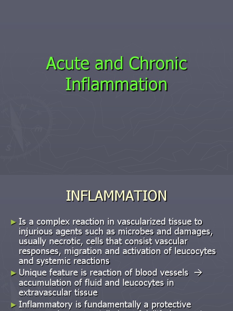 Inflamasi Akut Dan Kronik | Complement System | Inflammation