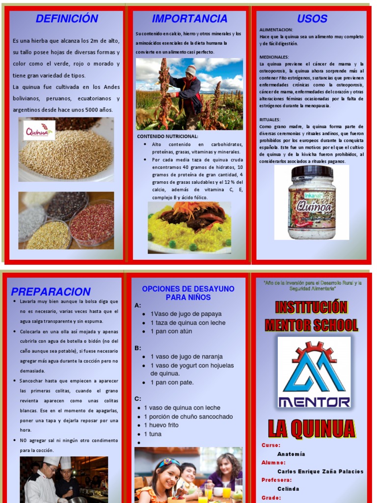Triptico La Quinua | PDF