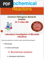 Api - 20 Ne - Microbial - Id-Sop | PDF | Nitrate
